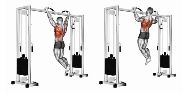 I migliori esercizi per aumentare la massa muscolare - FdS