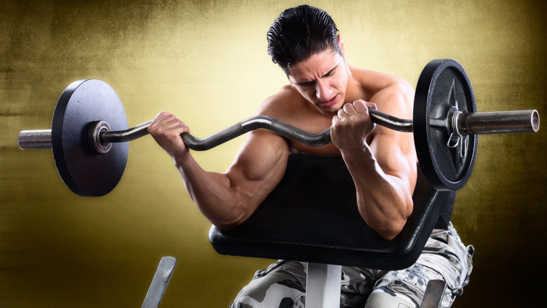 BICIPITI: COME COSTRUIRE MASSA MUSCOLARE. I 5+1 ACCORGIMENTI DA METTERE ...